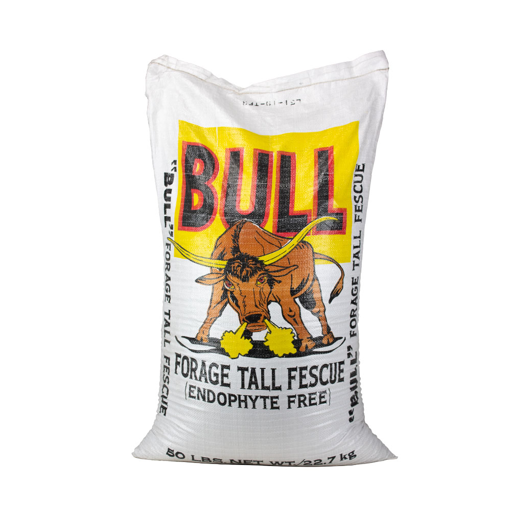 Caudill Seed | Creeping Red Fescue Seed