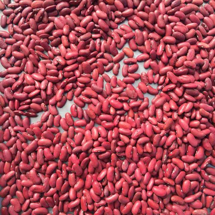 Caudill Seed | Bulk Bean Seed | Wholesale & Bulk Seed